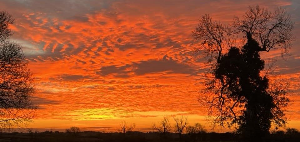 Buckby Library & Hub | 'books & buzz'